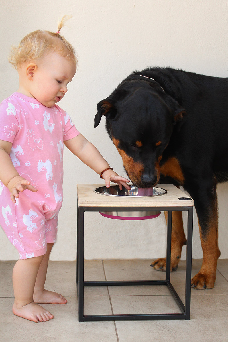 Petsville Product Review - Stylish Paws